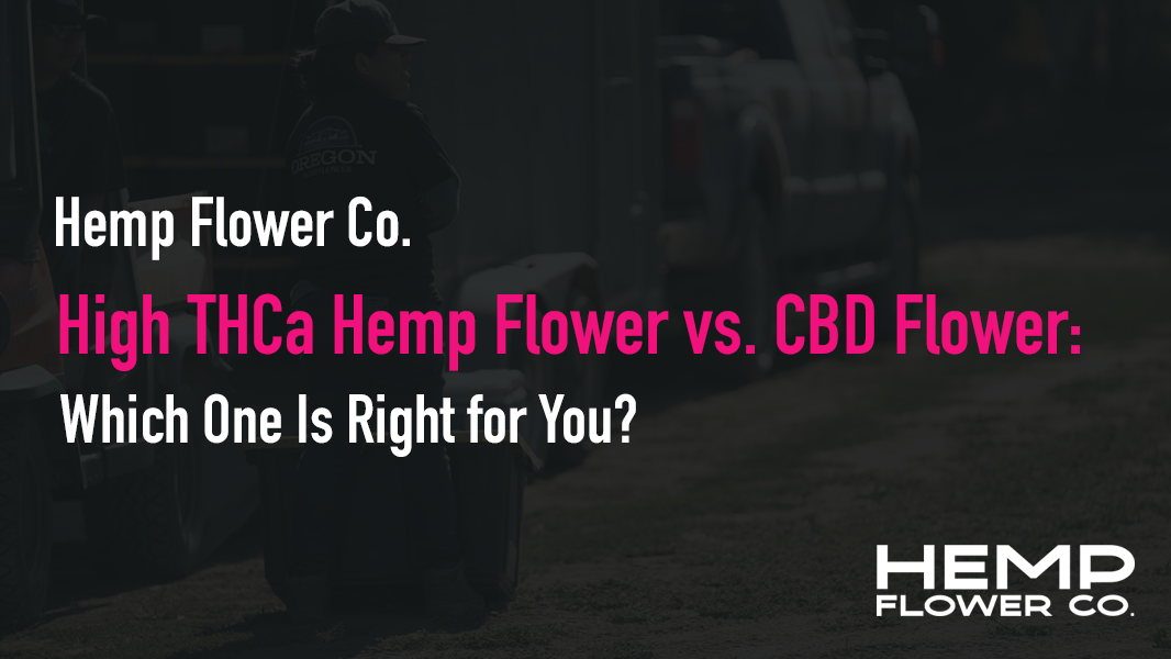 High THCa Hemp Flower vs. CBD Flower: Which One Is Right for You? – Hemp Flower Co.