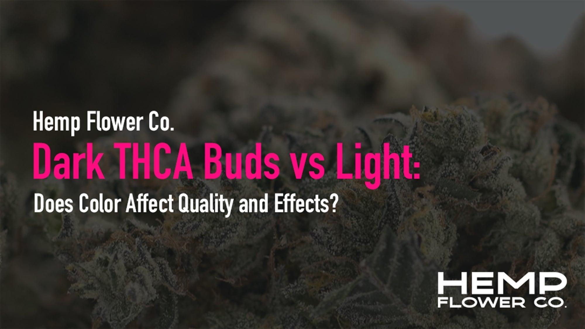 Dark THCA Buds vs Light: Does Color Affect Quality and Effects? – Hemp ...