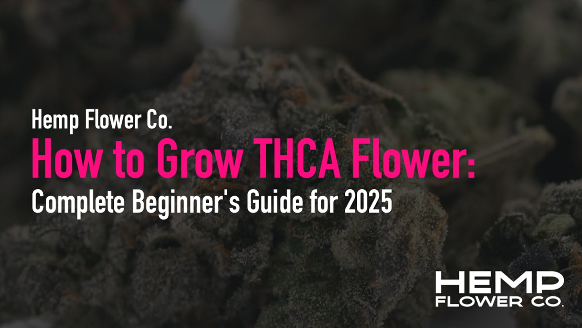 How to Grow Thca Flower for High Thca Levels – Hemp Flower Co.