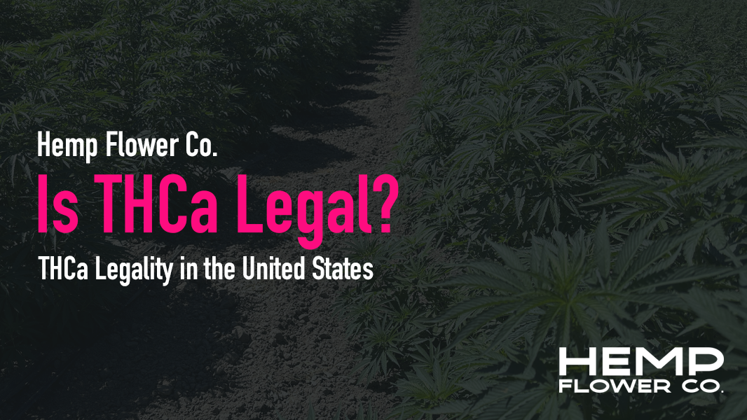 Is THCa Legal? - THCa Legality in the United States – Hemp Flower Co.