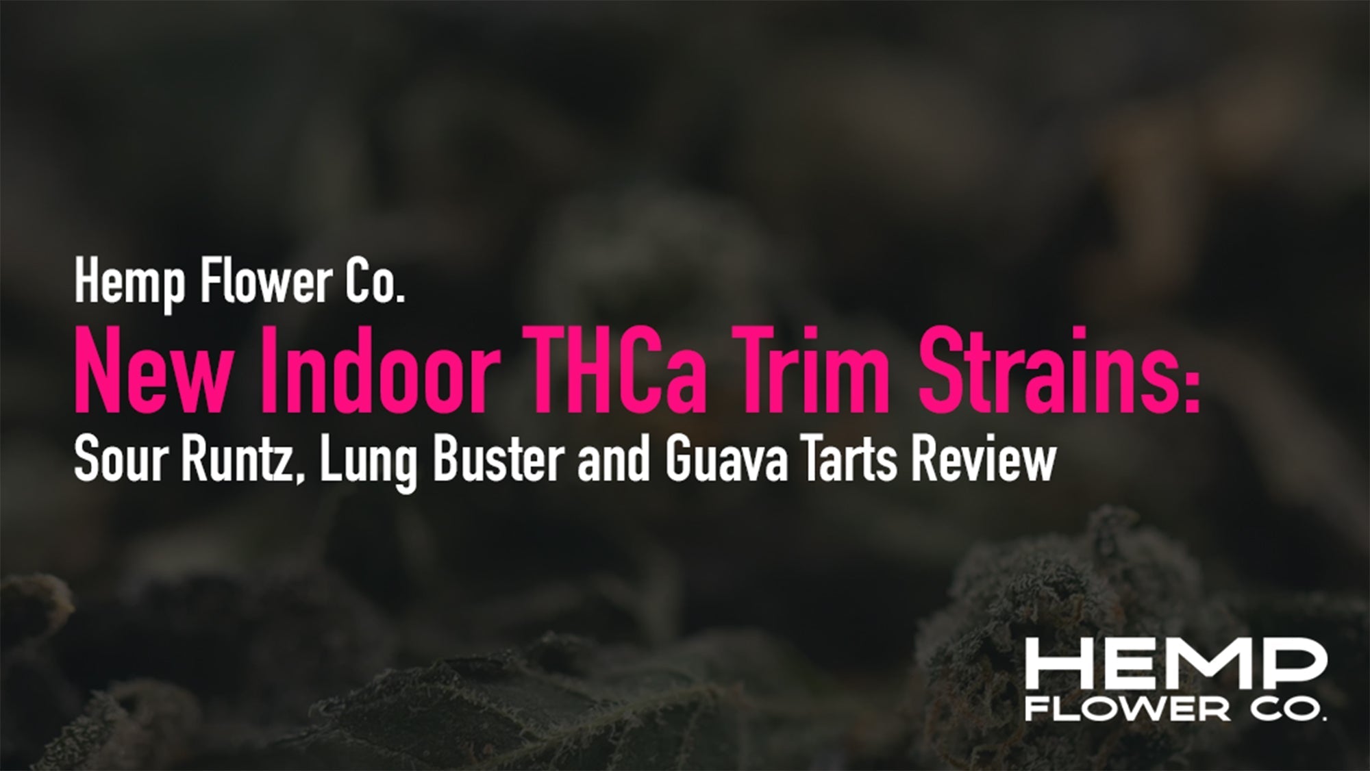 New Indoor Trim Strains: Sour Runtz, Lung Buster and Guava Tarts Review ...