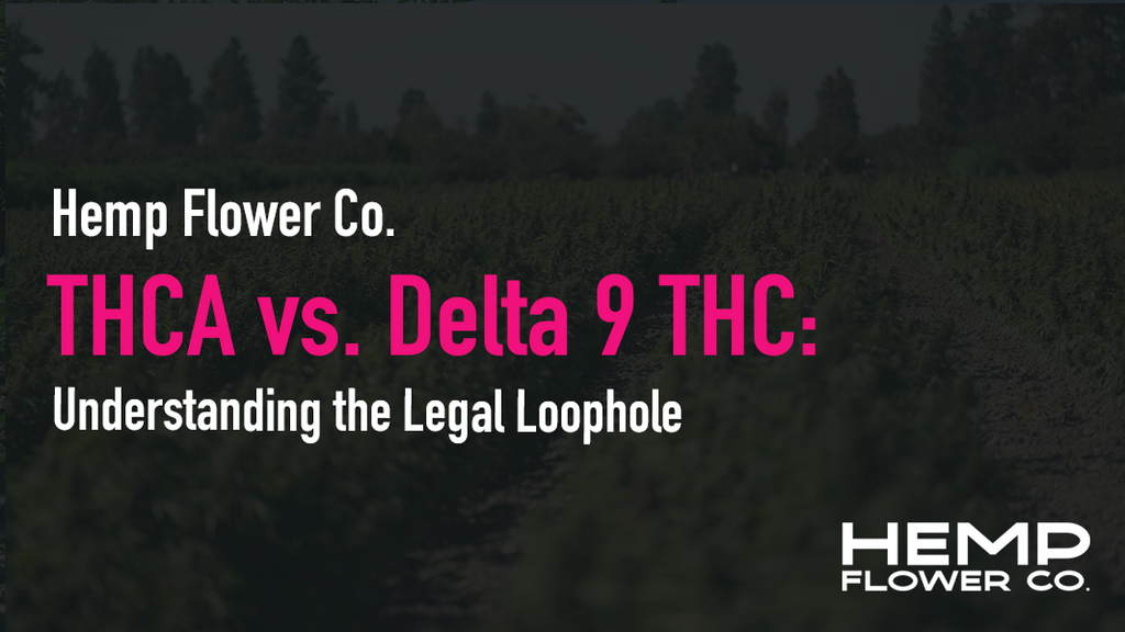 THCA vs. Delta 9 THC: Understanding the Legal Loophole – Hemp Flower Co.