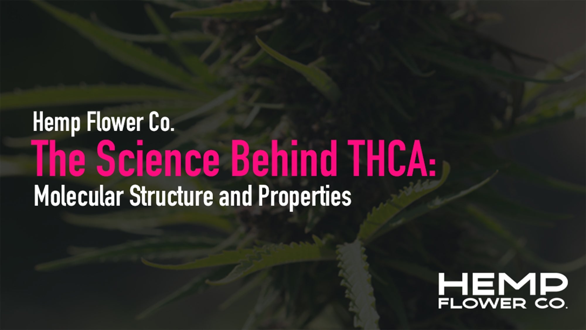 The Science Behind THCA: Molecular Structure and Properties – Hemp ...