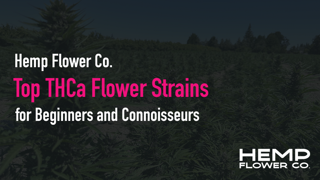 Top THCa Flower Strains for Beginners and Connoisseurs – Hemp Flower Co.