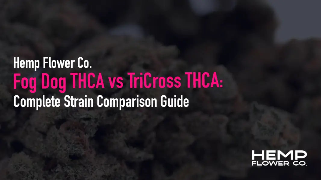 Fog Dog Thca Vs Tricross Thca Flower Comparison – Hemp Flower Co.