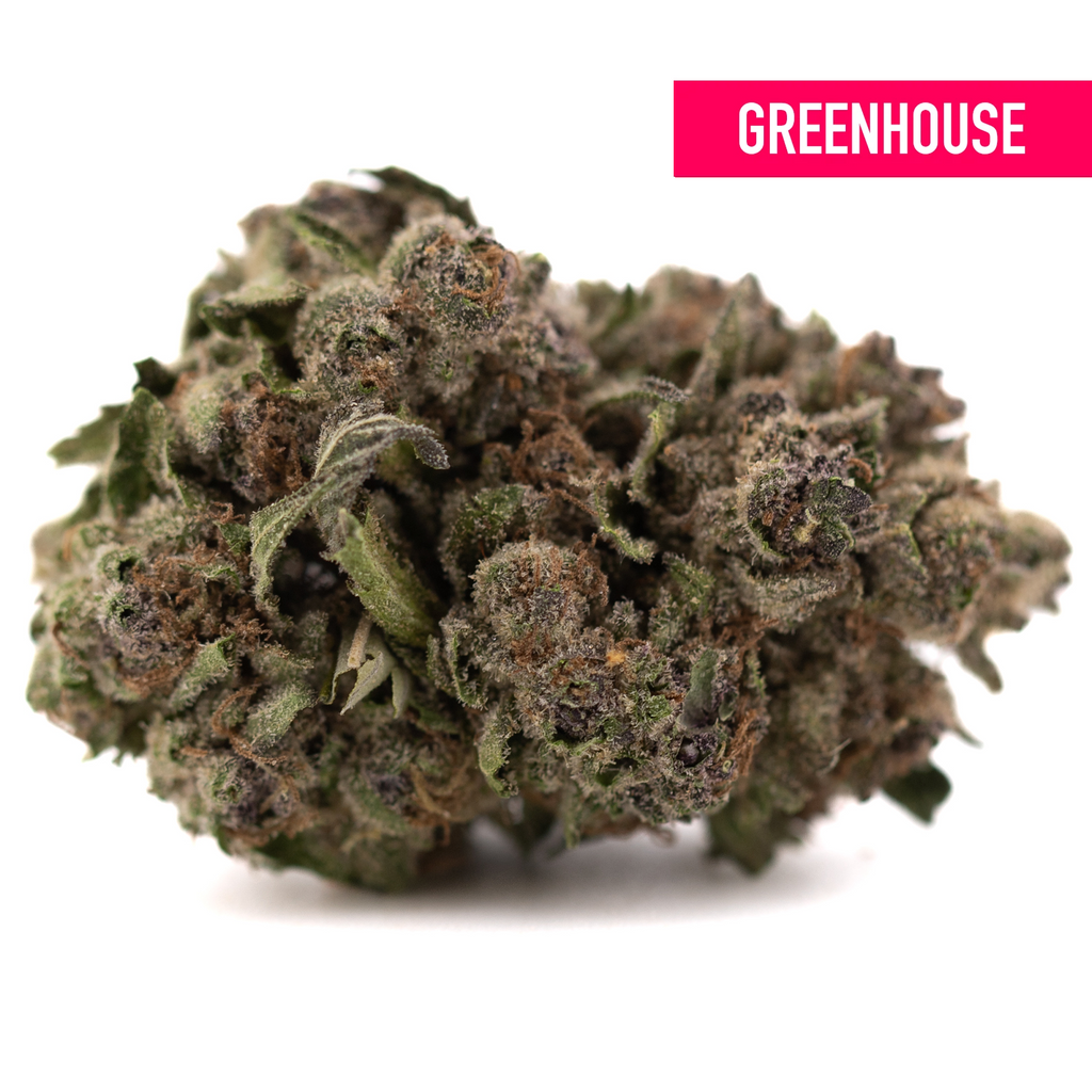 Giggle Gas THCa Hemp Flower Greenhouse - Giggle Gas THCa Flower – Hemp ...