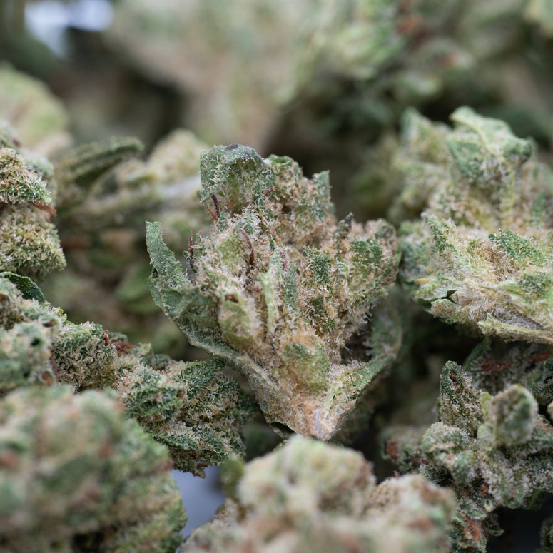 THCA Flower Smalls vs Regular Buds: What's the Difference? – Hemp ...